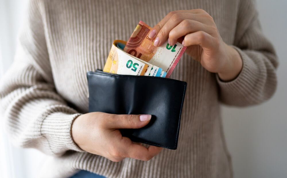 Što je regres, tko ima pravo i kada se isplaćuje? - Lupilu Lidl